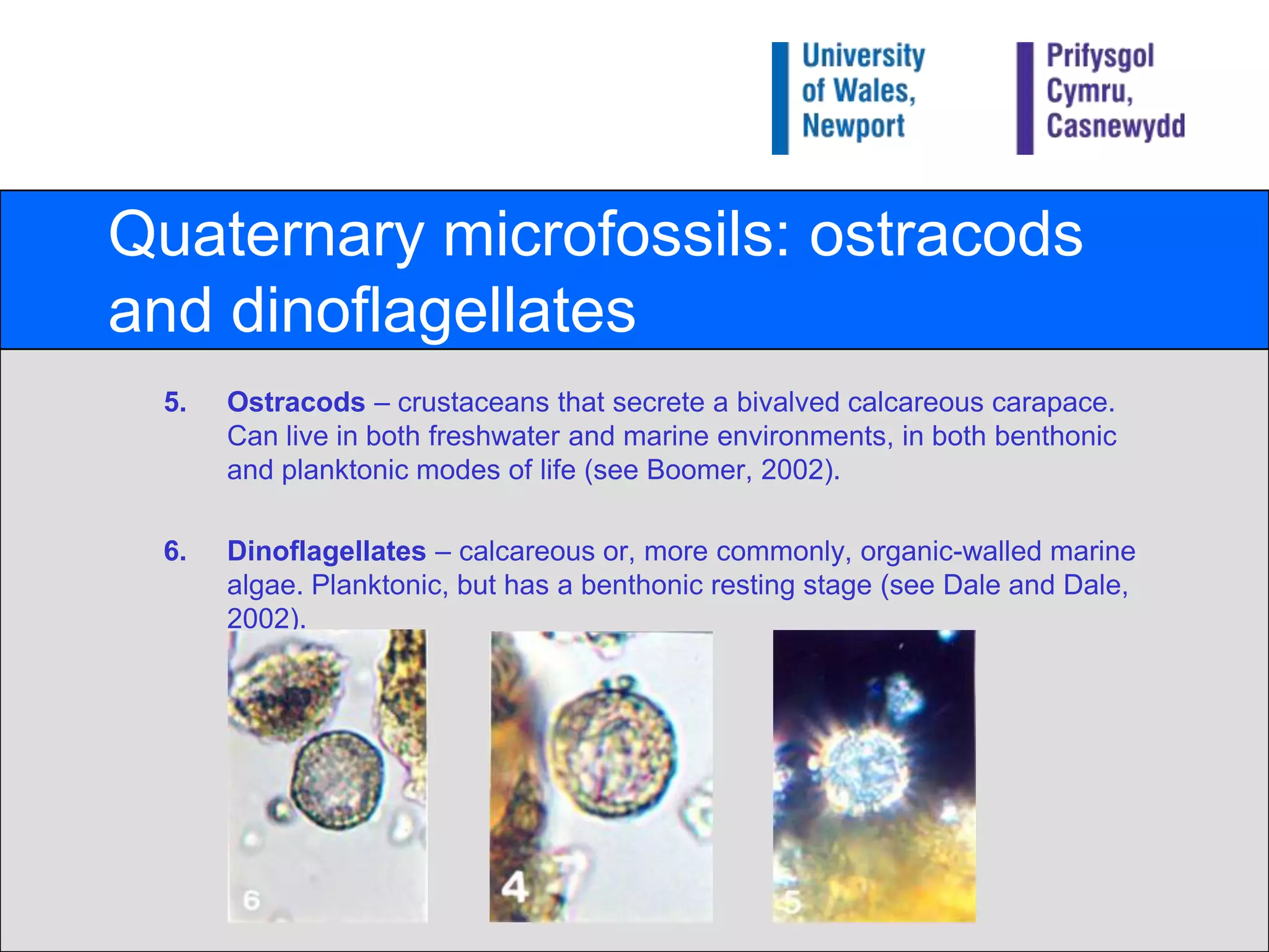Biostratigraphy And Microfossils Pptx
