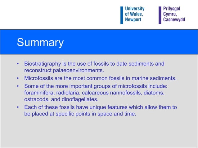 Biostratigraphy and microfossils | PPTX