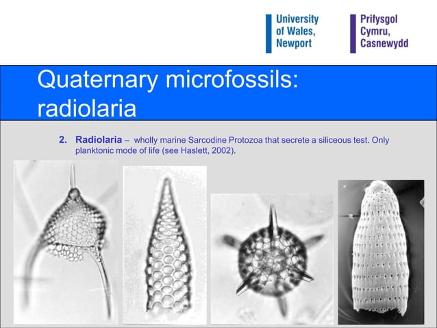 Biostratigraphy and microfossils | PPTX