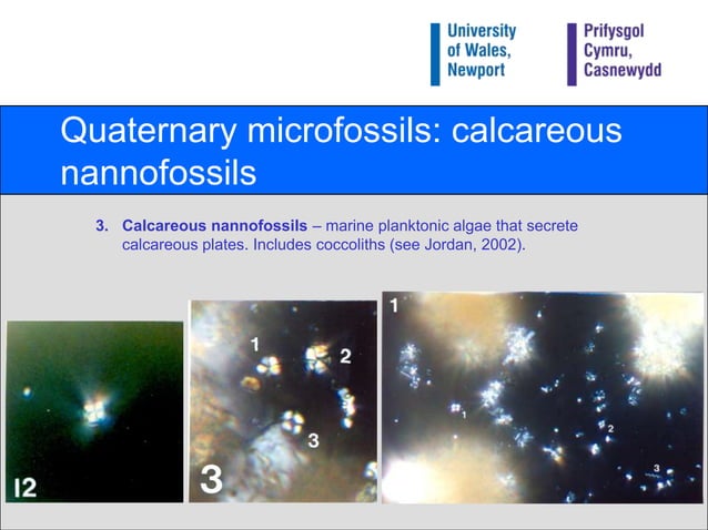 Biostratigraphy and microfossils | PPTX