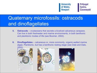 Biostratigraphy and microfossils | PPTX