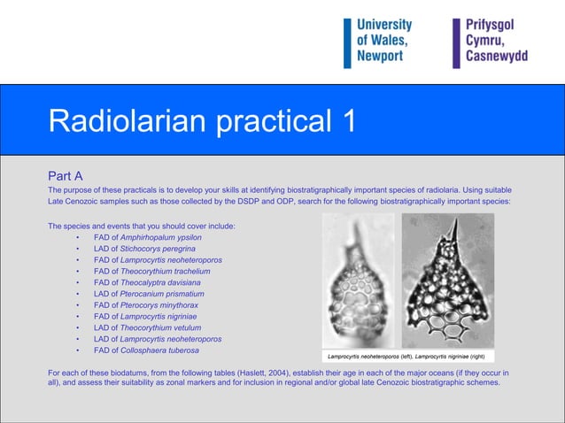 Biostratigraphy and microfossils | PPTX