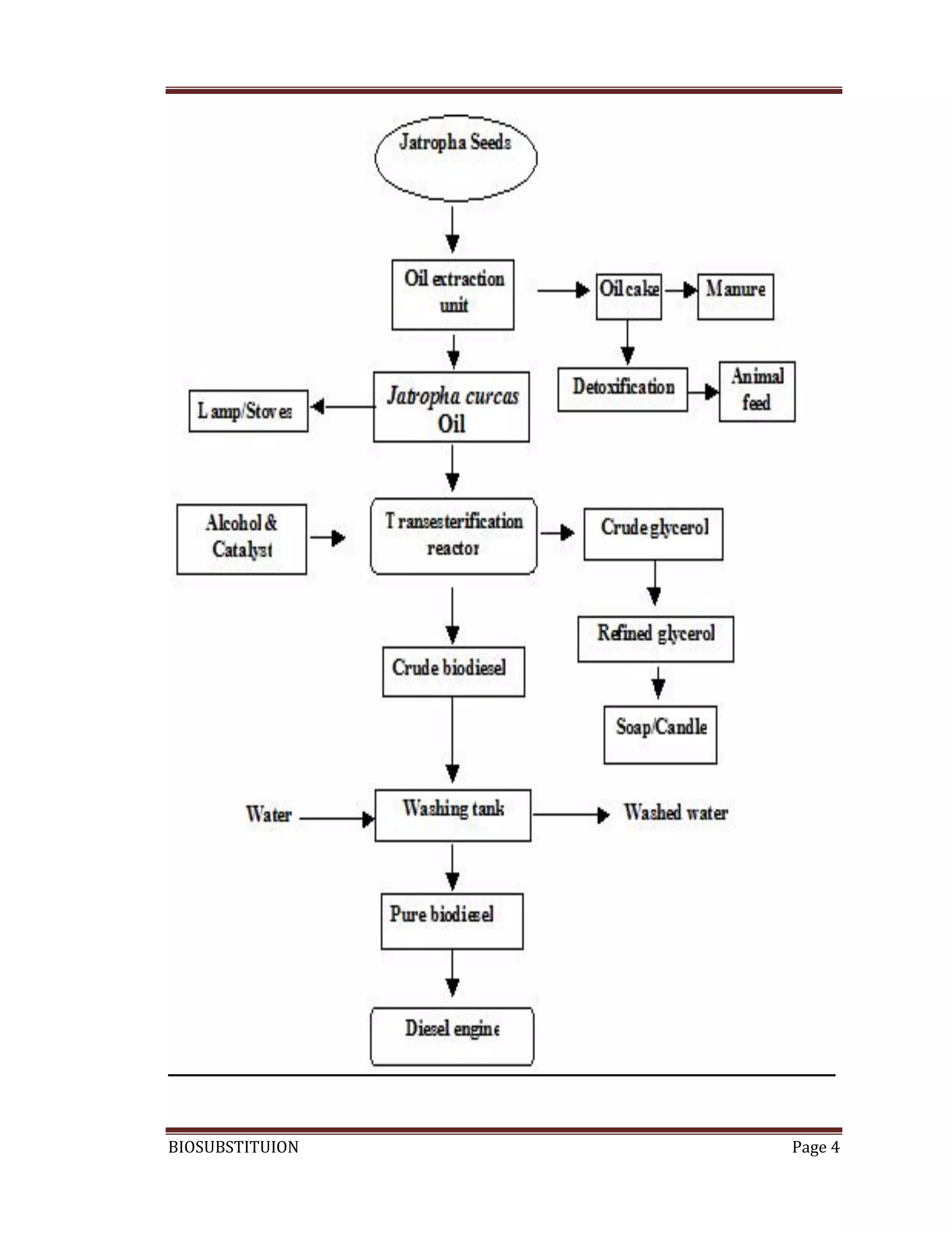 Bio-substitution | PDF