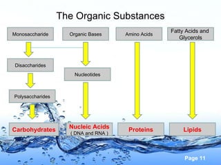 Bio substances | PPT