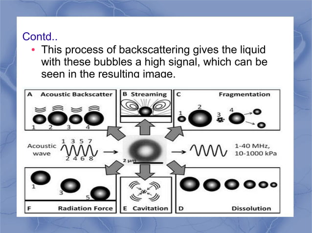 Biosurfactants and their application in microbubble preparation | PDF ...