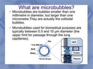 Biosurfactants and their application in microbubble preparation | PDF