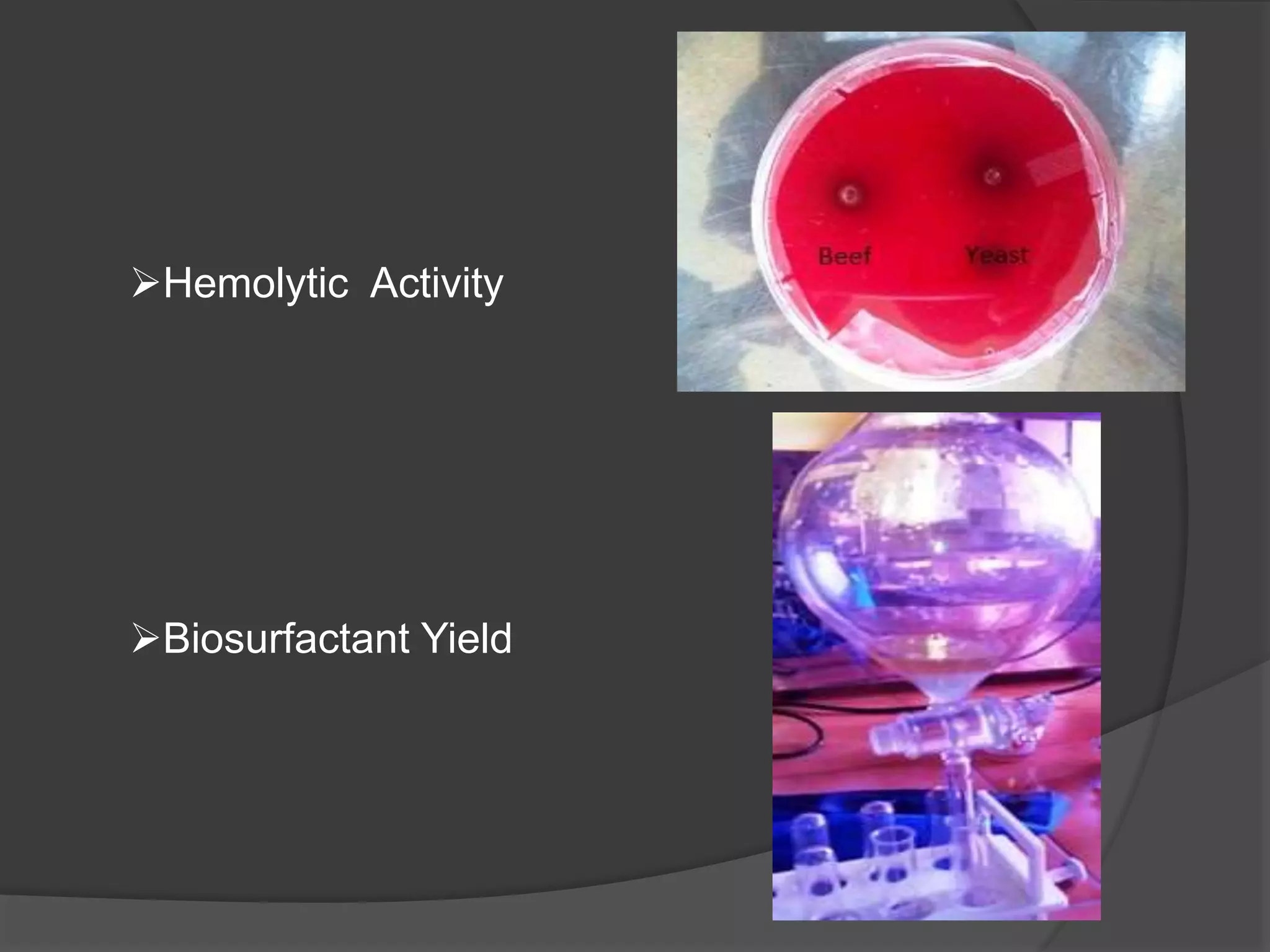 Biosurfactant | PPTX