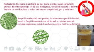 Biosurfactant proiect biosurfactantii.pptx