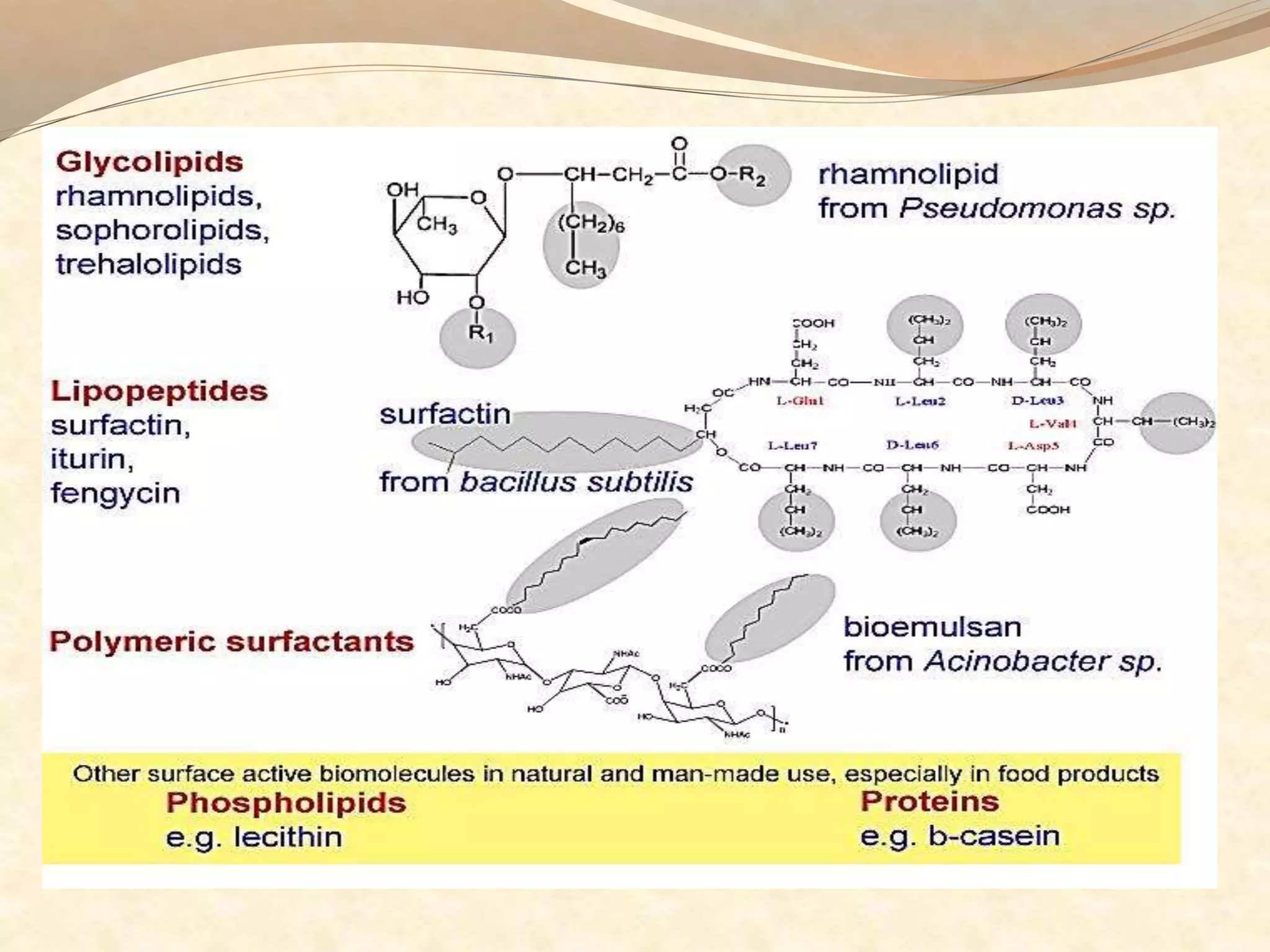 Biosurfactants production and applications. | PPTX