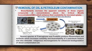presentation on biosurfactants bioemulsifiers | PPTX