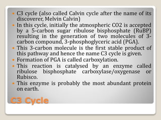 Biosynhtetic pathway (dark reaction) | PPTX