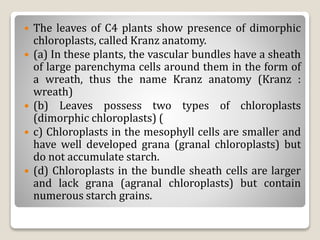 Biosynhtetic pathway (dark reaction) | PPTX | Biological Sciences | Science