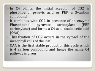 Biosynhtetic pathway (dark reaction) | PPTX | Biological Sciences | Science