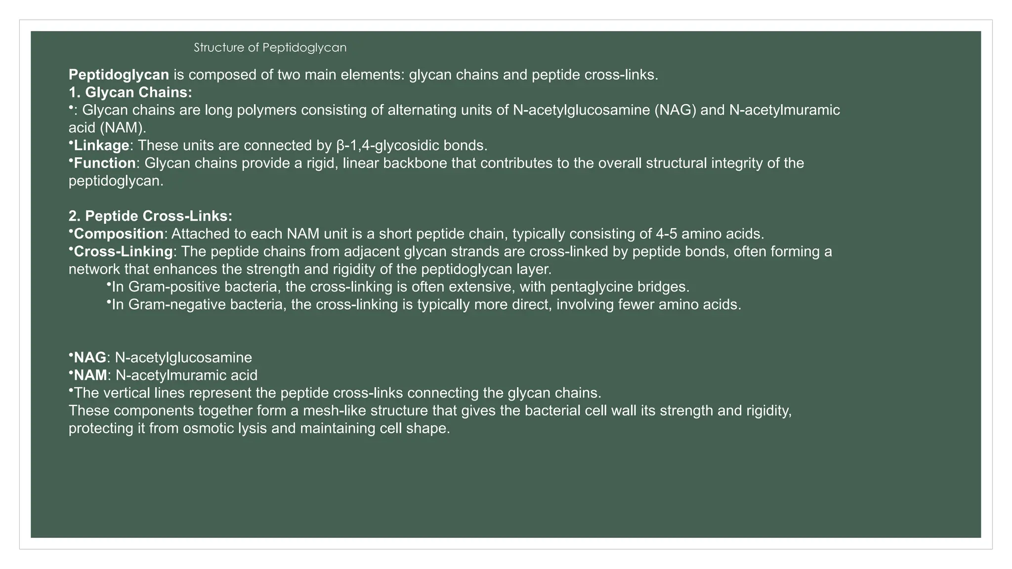 OVERVIEW - BIOSYNTESIS OF PEPTIDOGLYCAN.pptx