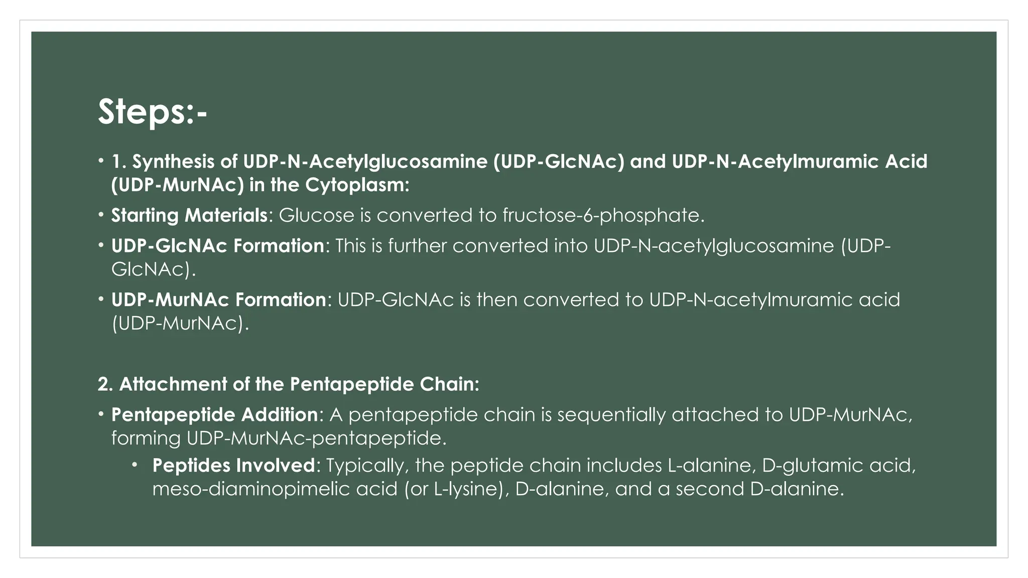 OVERVIEW - BIOSYNTESIS OF PEPTIDOGLYCAN.pptx