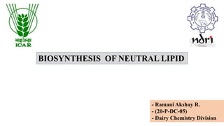 Biosynthesis of neutral lipid | PPTX