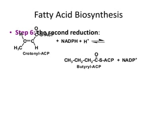 Biosynthesis | PPTX