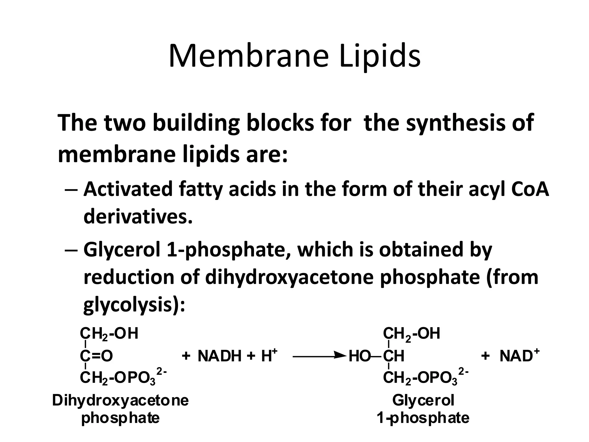 Biosynthesis | PPTX