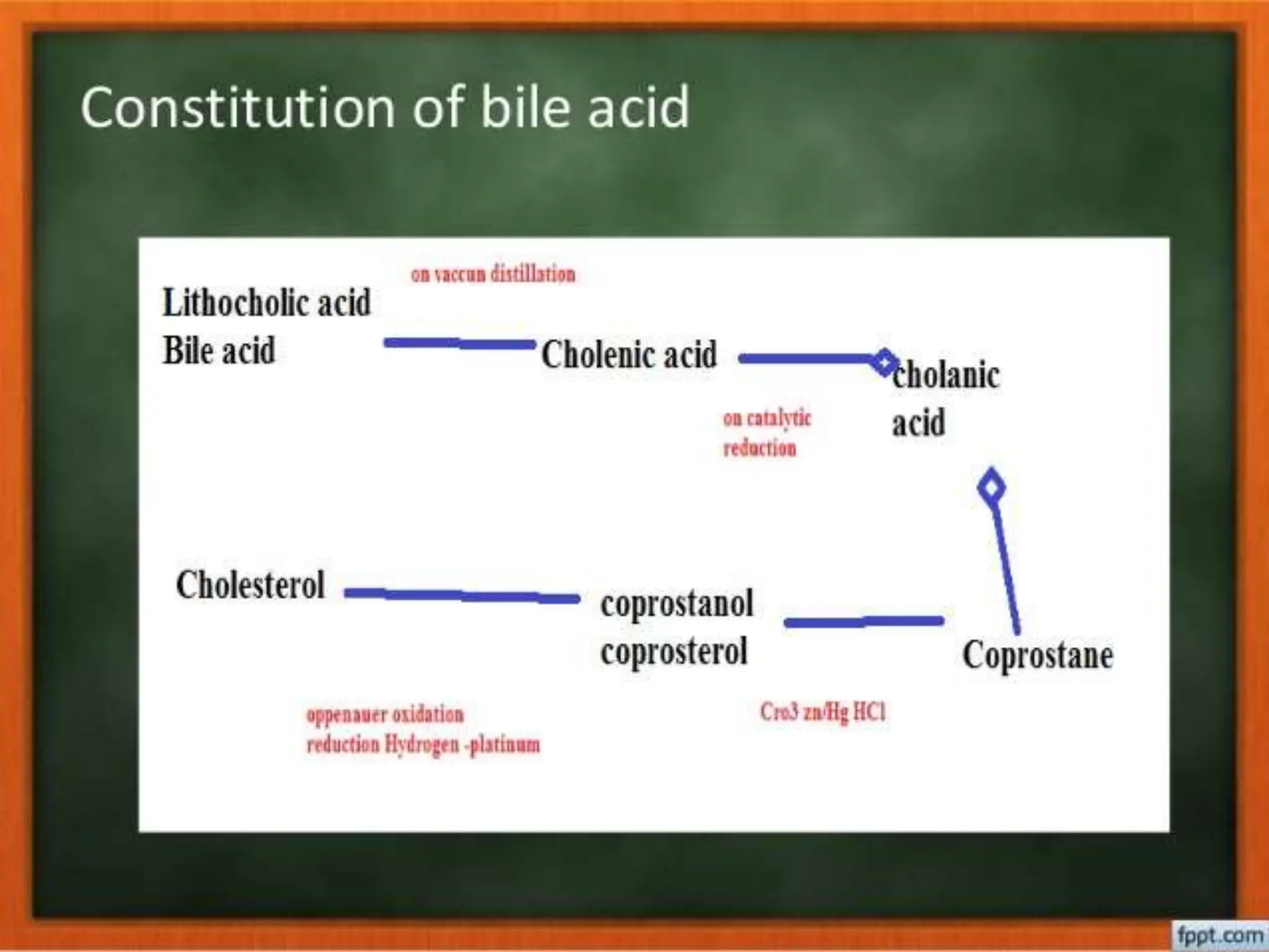 Biosynthesis of Bile Acid | PPTX