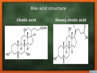 Biosynthesis of Bile Acid | PPTX