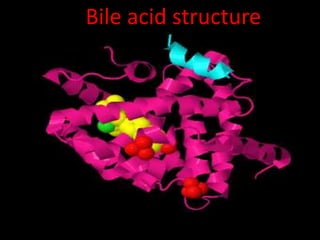 Biosynthesis of Bile Acid | PPTX