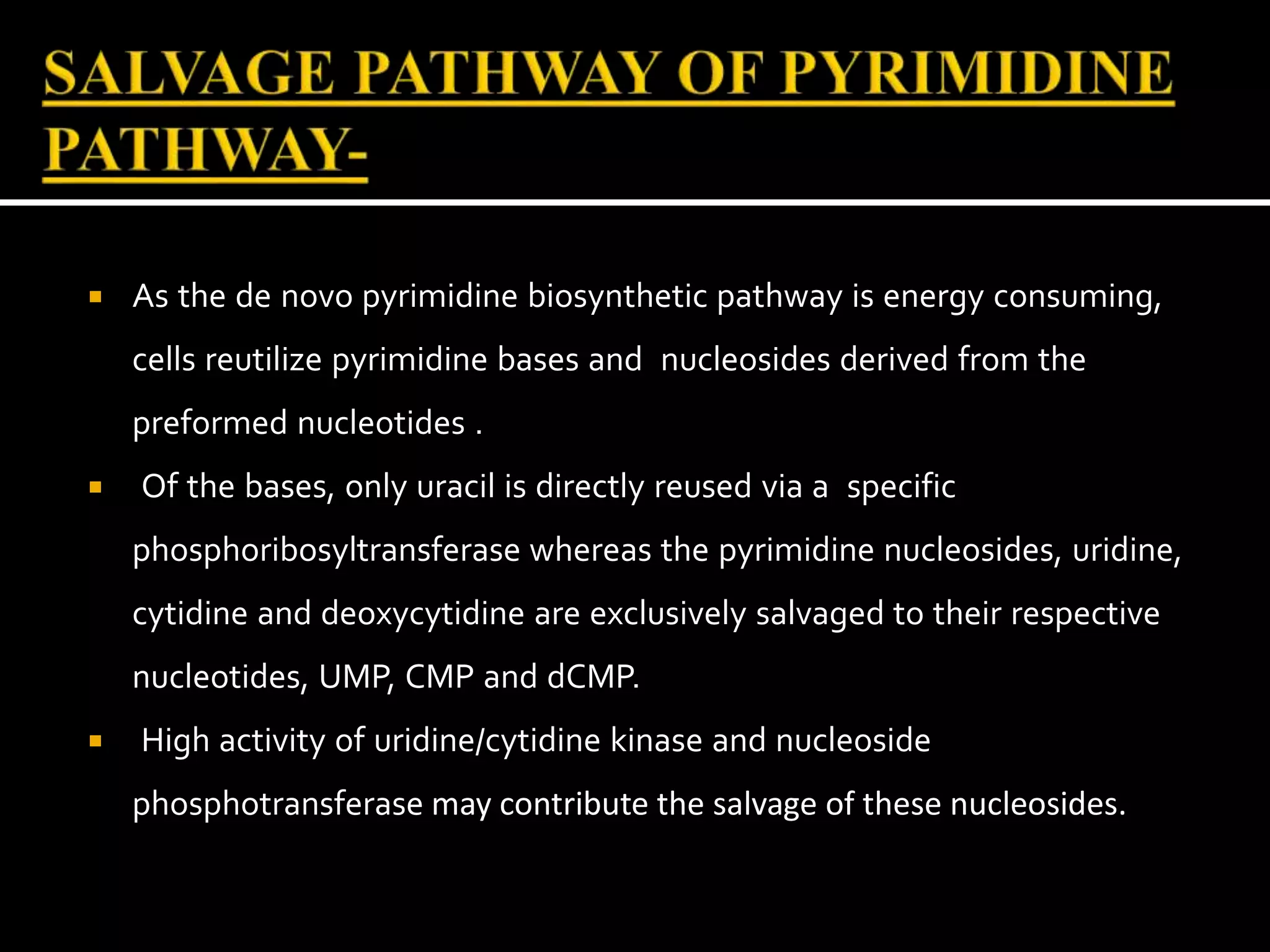 Biosynthesis of Purines and Pyrimidines | PPTX