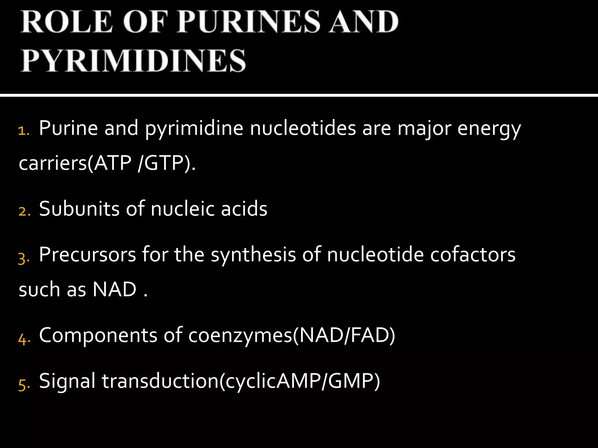 Biosynthesis of Purines and Pyrimidines | PPTX