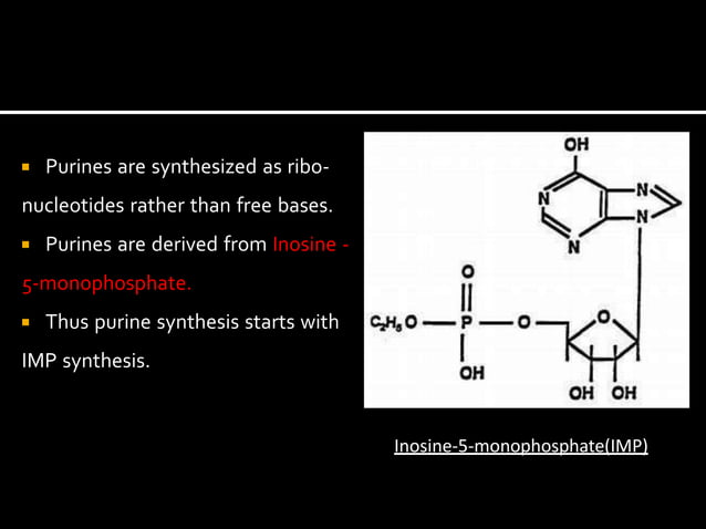 Biosynthesis of Purines and Pyrimidines | PPTX