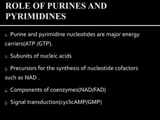 Biosynthesis of Purines and Pyrimidines | PPTX