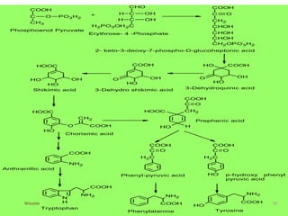 Biosynthesis.pptx.. | PPT