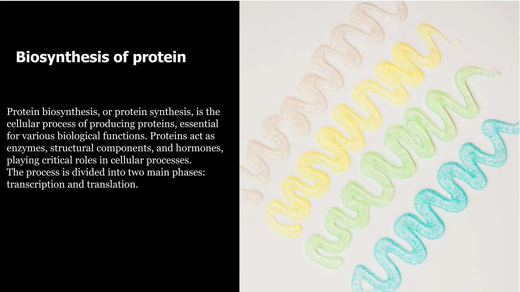 Cellular Biosynthesis: Cell Wall and Protein Pathways | PPTX