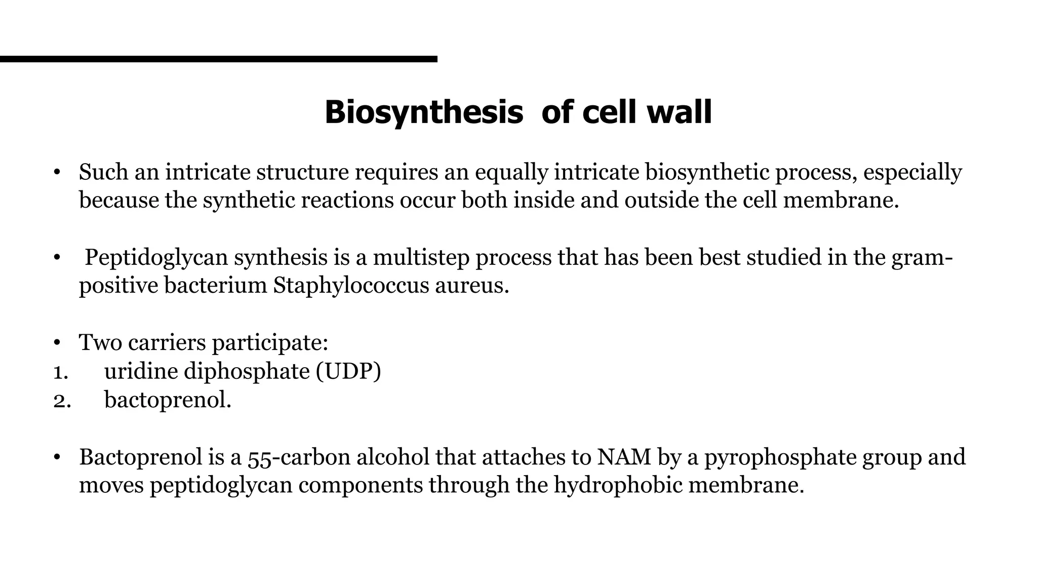 Cellular Biosynthesis: Cell Wall and Protein Pathways | PPTX