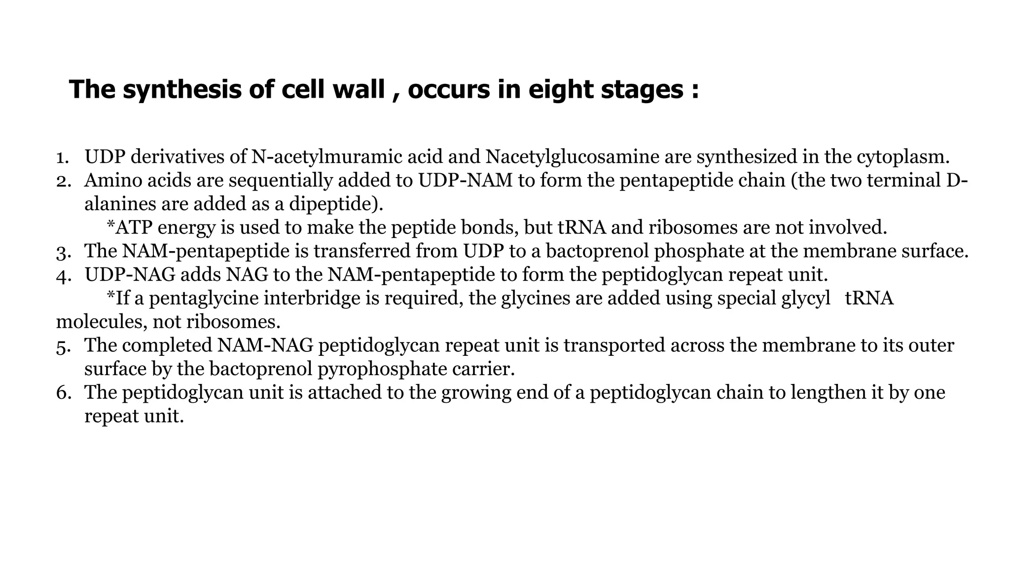 Cellular Biosynthesis: Cell Wall and Protein Pathways | PPTX