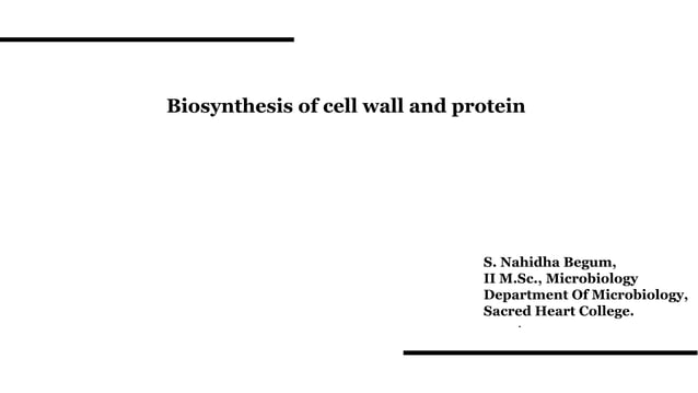 Cellular Biosynthesis: Cell Wall and Protein Pathways | PPT