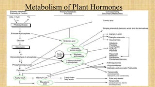 Biosynthesis and applications of plant growth regulators | PPTX