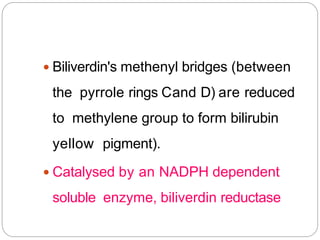 Biosynthesis and degradation of porphyrin and heme | PPTX