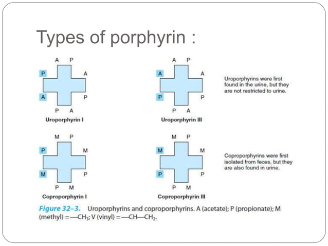 Biosynthesis and degradation of porphyrin and heme | PPTX