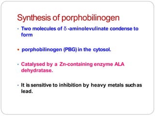 Biosynthesis and degradation of porphyrin and heme | PPTX
