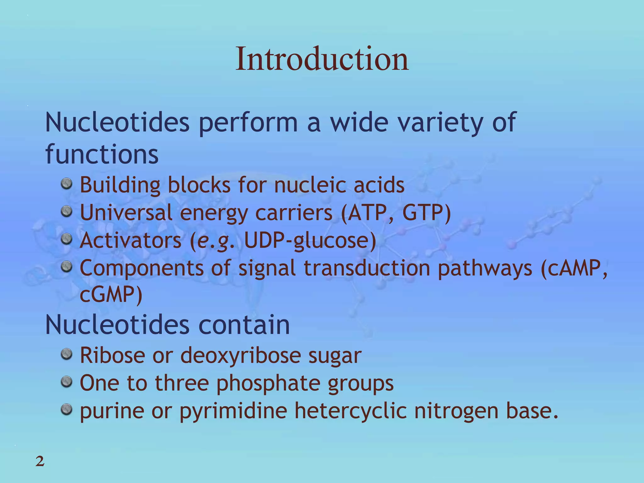BIOSYNTHESIS NUCLEOTIDE.pdf