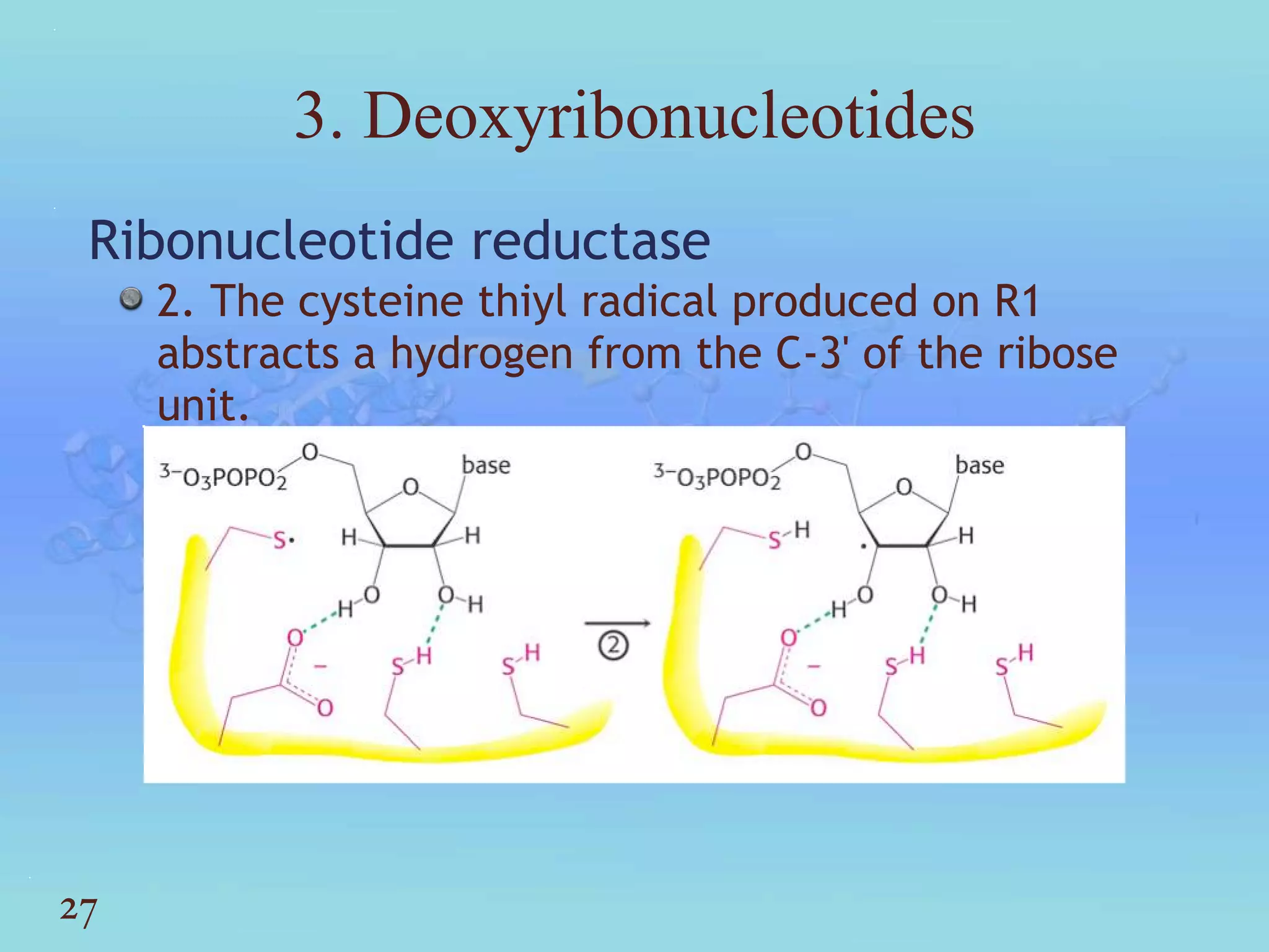 BIOSYNTHESIS NUCLEOTIDE.pdf