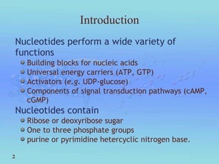 BIOSYNTHESIS NUCLEOTIDE.pdf