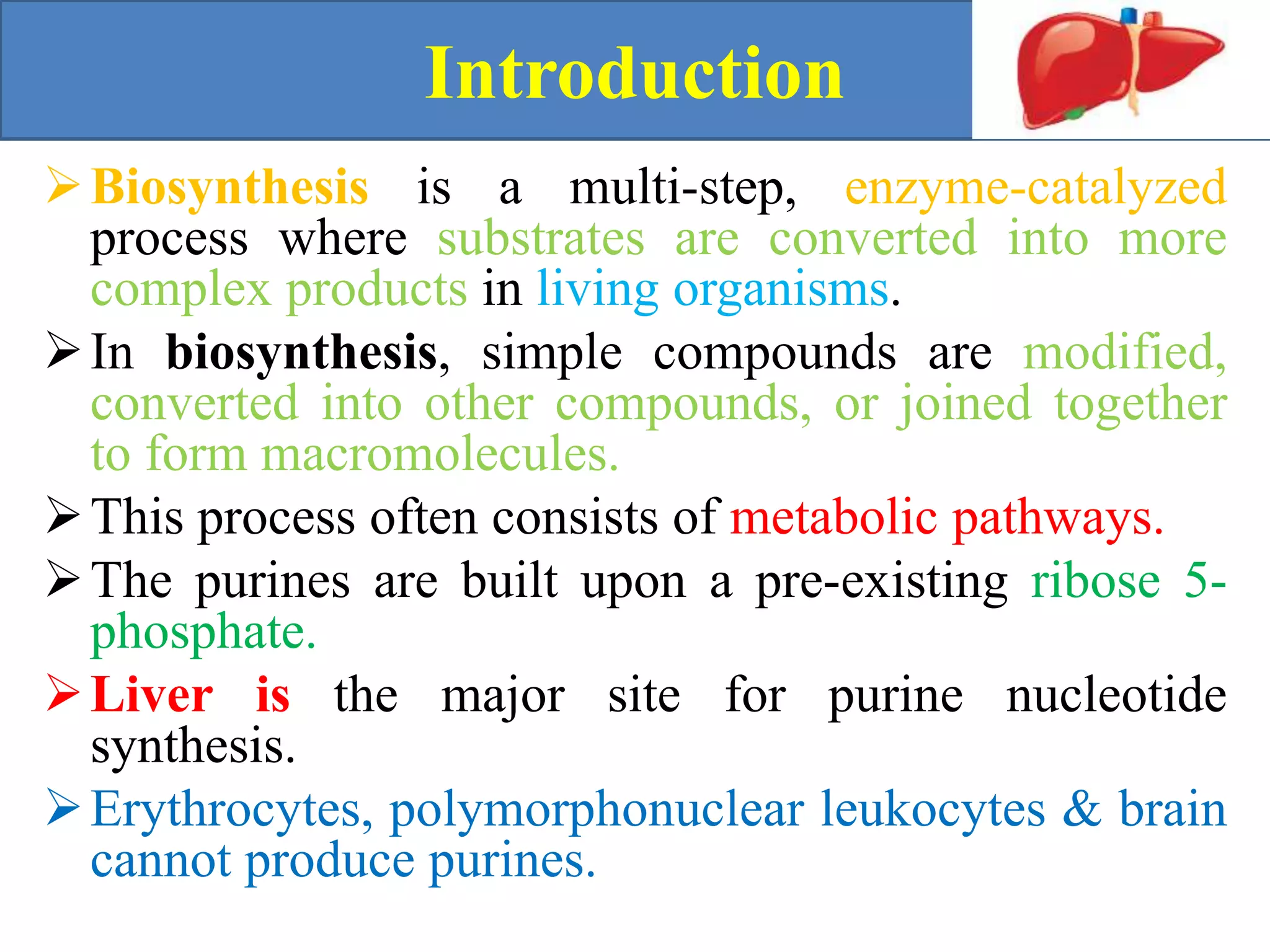 biosynthesisof-190408140232.pdf