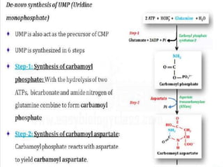 biosynthesisof-190408140232.pdf