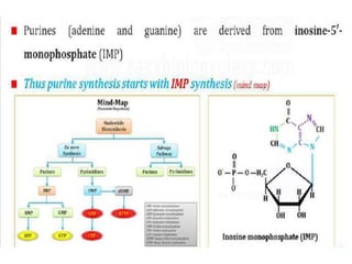 biosynthesisof-190408140232.pdf