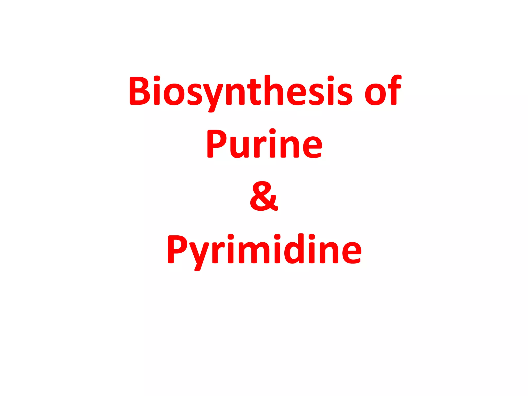 Biosynthesis of purine & pyrimidine | PPTX