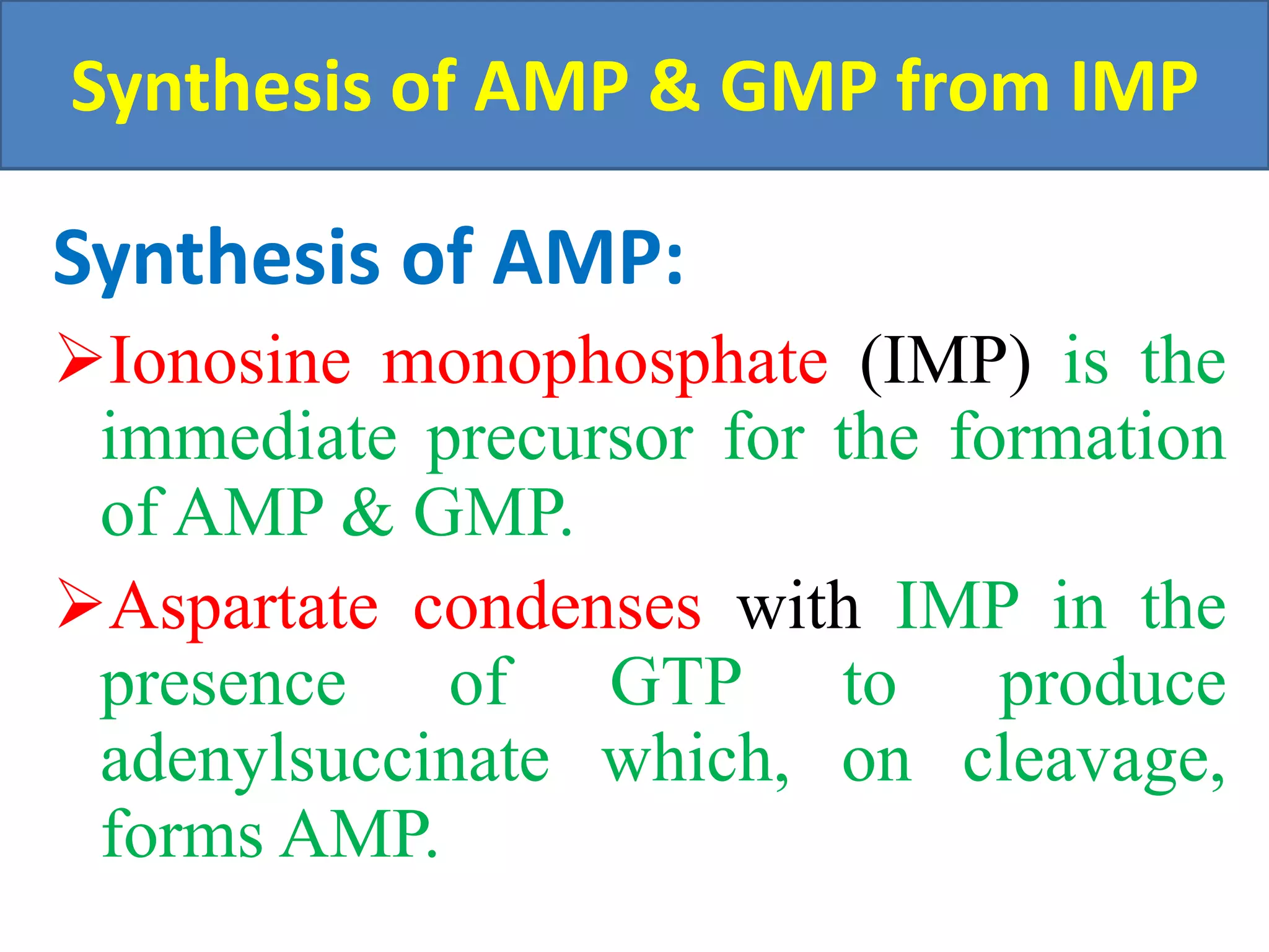Biosynthesis of purine & pyrimidine | PPTX