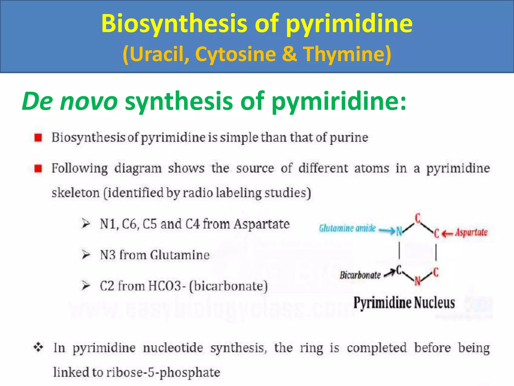Biosynthesis of purine & pyrimidine | PPTX