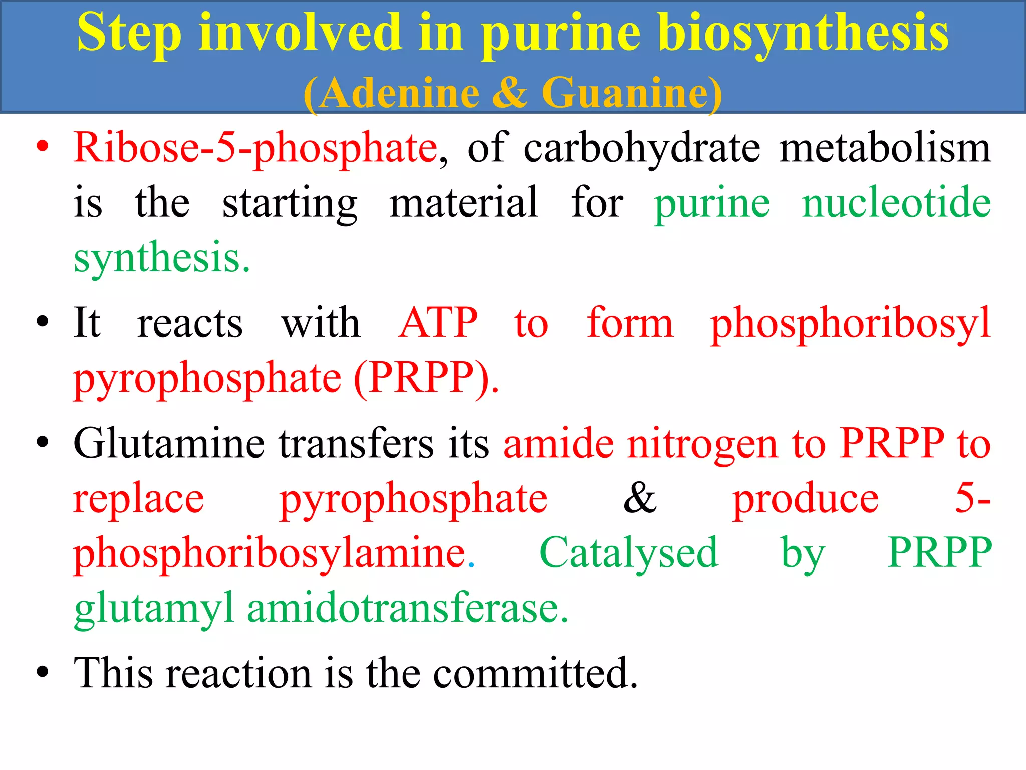 Biosynthesis of purine & pyrimidine | PPTX