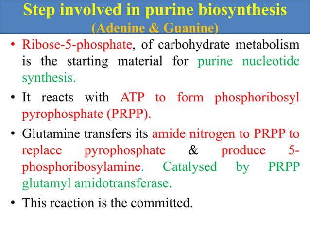Biosynthesis of purine & pyrimidine | PPTX | Chemistry | Science