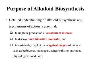 lecture note Biosynthesis of Alkaloid.pptx